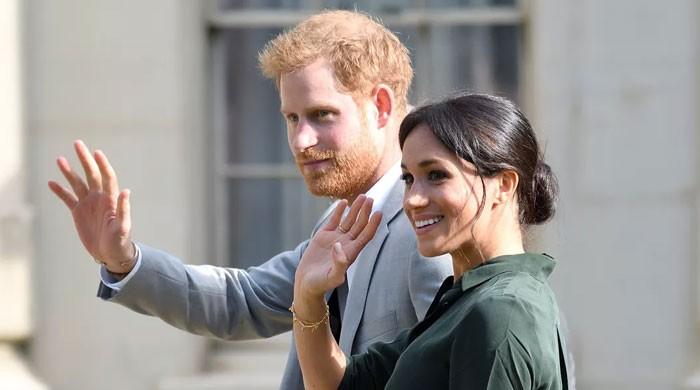 Prince Harry, Meghan Markle ruffle feathers with hefty expenses on ...