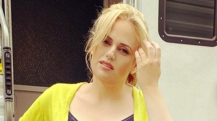 Rebel Wilson is a sight for sore eyes in red dress previously worn by ...