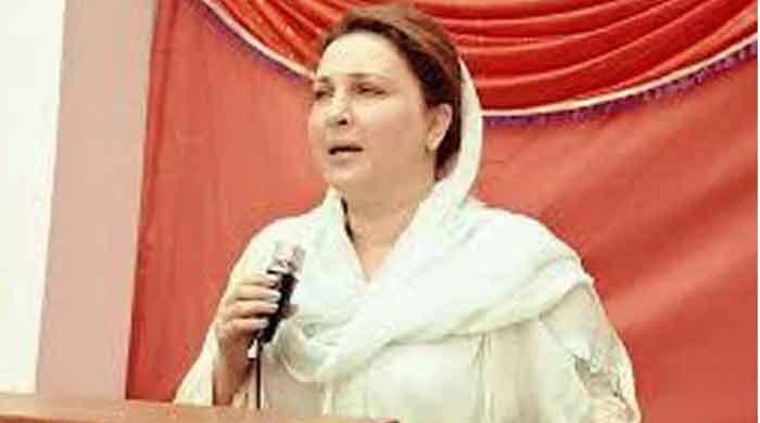Boycotted PM's meeting to register protest: PTI MPA Maliha Ali Asghar