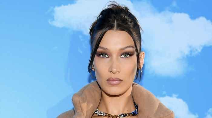 Bella Hadid shares throwback picture from anti-Israel protest