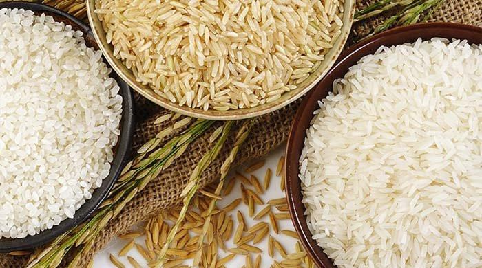 Russia lifts ban on import of Pakistani rice