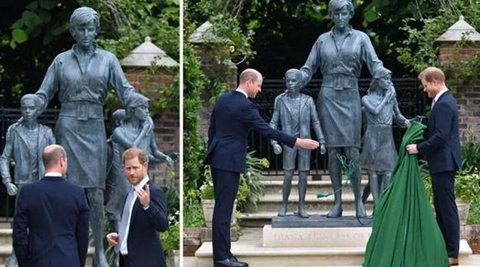 Princess Diana's statue unveiled by Princes William and Harry: See photos