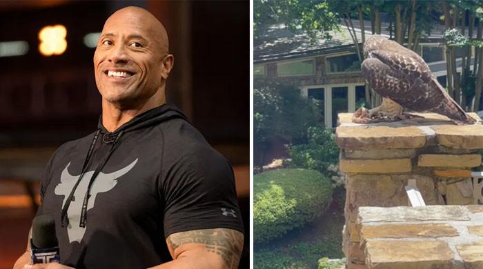 Dwayne Johnson fawns over ‘majestic’ angry hawk: ‘Hasn’t stopped ka kaw’ng’