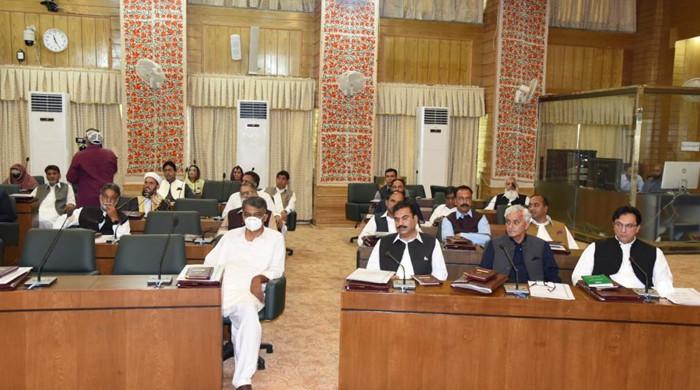 Age, gender, profession: How diverse is the new assembly of Azad Kashmir?