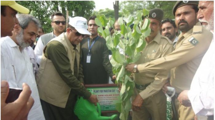 Pakistan breaks India's record by planting over 50,000 saplings in a minute