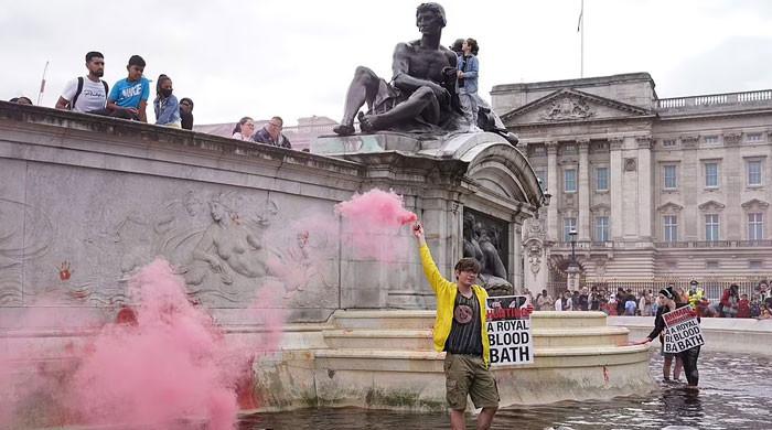 Angry mob attacks Queen's home in London