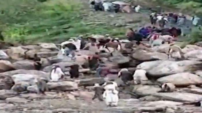14 killed as houses collapse following torrential rain in KP’s Torghar