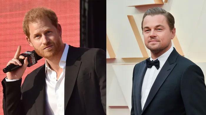 Leonardo DiCaprio, Prince Harry speak up against 'destructive' oil ...