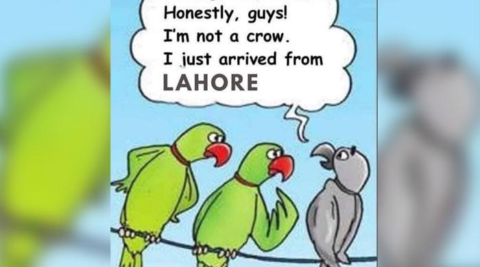 Netizens try to tackle Lahore's grim smog situation with memes