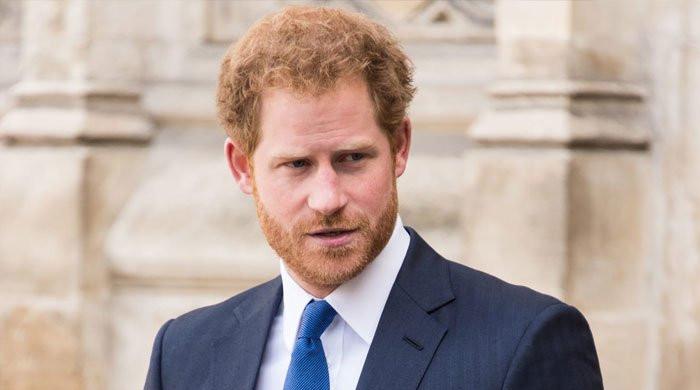 Prince Harry reminded to check privilege after encouraging to 'quit jobs'