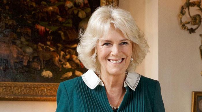 Camilla has become Royal Family’s buffer with Prince Charles: report