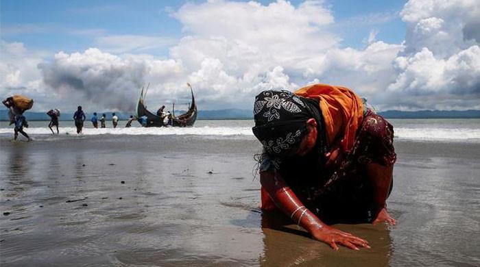 Seven most strange things that washed ashore in 2021