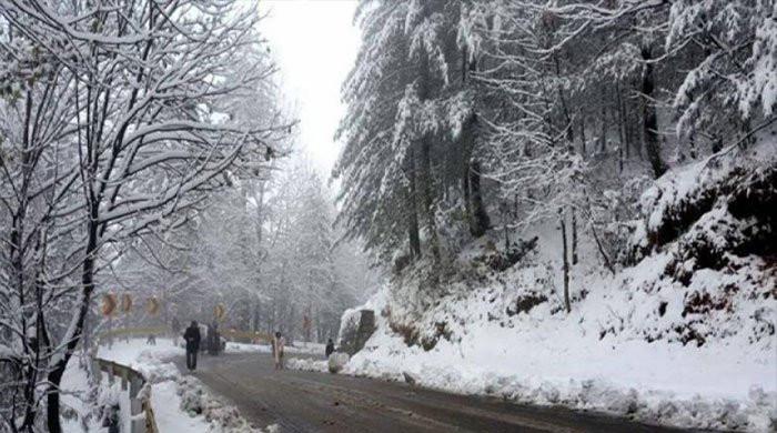 Travel to Murree barred for 24 hours even as major highways cleared for ...