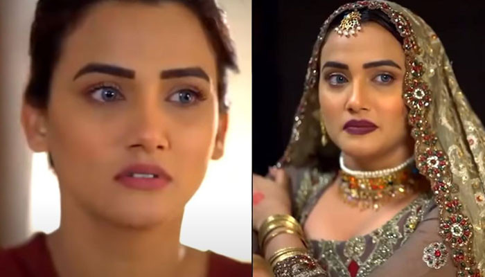 'Fiza Shiza' memes leave internet in splits, fans react to viral drama ...