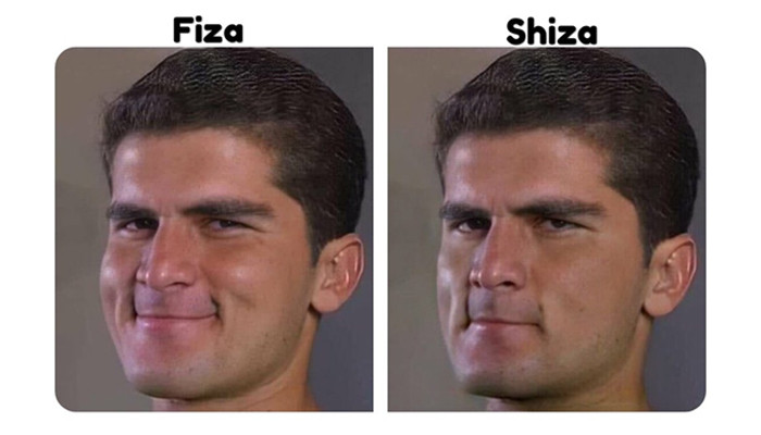 Cricket fans jump on #fizaShiza meme bandwagon | - Geo.tv