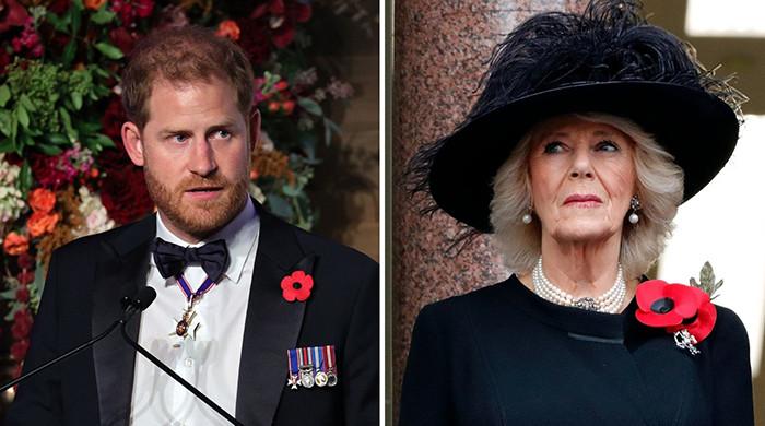 'Livid' Prince Harry to tell world how he feels about Camilla with new ...