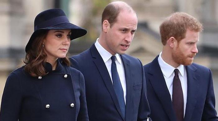 Prince William, Kate Middleton fear Prince Harry’s memoir will include ...