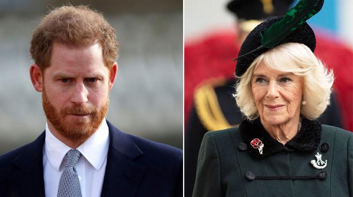 Prince Harry told not to ‘discredit’ Camilla: report