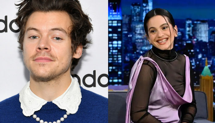 Harry Styles texts stranger 'love you' thinking it's singer Rosalia