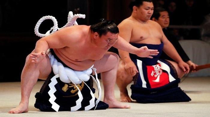 Elon Musk challenges Putin, posts his sumo wrestling photo