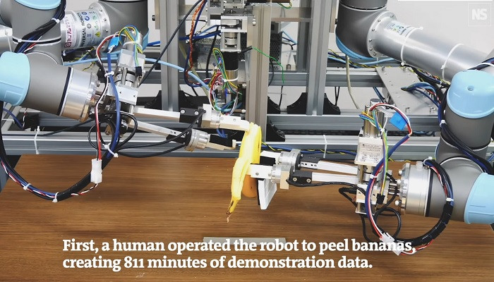 Watch: Robot finally learns to peel banana without mushing fruit