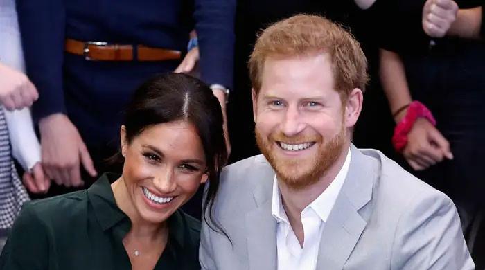 Prince Harry, Meghan aware their 'rude' silence 'shouted from ...