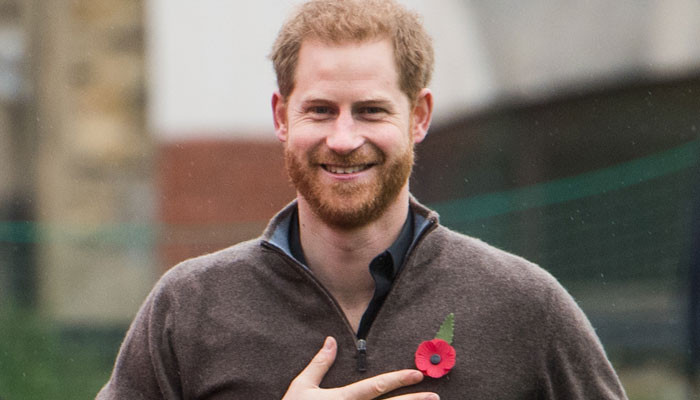 Prince Harry branded naive by cop for thinking Netherlands is 'safer ...