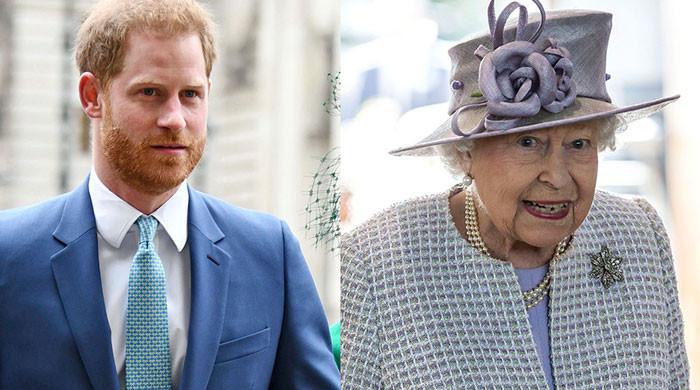 'Queen is most in need of safeguarding from Harry himself,' says expert