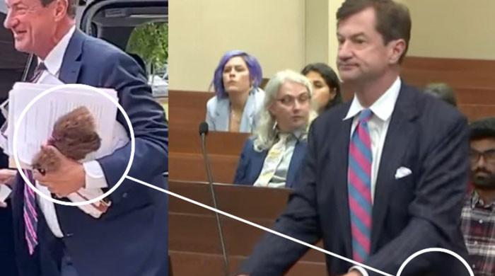 Depp lawyer Benjamin Chew 'stuffed baby alpaca' in court dubbed 'wholesome'