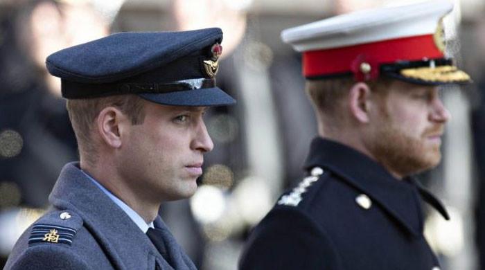 Prince William ‘lacking’ trust on Harry while fearing possible leaks to ... Prince William ‘lacking’ trust on Harry while fearing possible leaks to ...