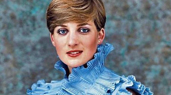 Princess Diana piercing blue eyes win hearts in rare photo ahead of ...