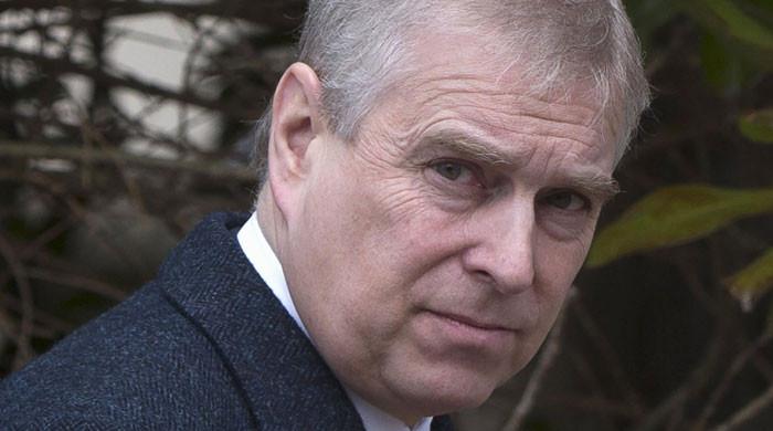 Prince Andrew Jeffrey Epstein interview 'got worse' with every answer ...