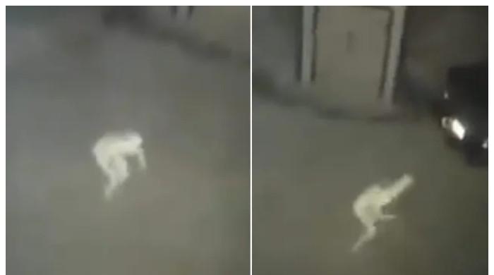 WATCH: Creepy pale creature caught on camera sends paranormal ...
