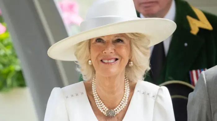 Camilla 'increasingly high profile' ahead of Firm’s ‘master stroke’ plan