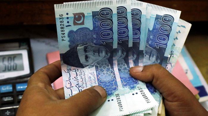 Rupee free fall continues despite govt assurances of economic stability