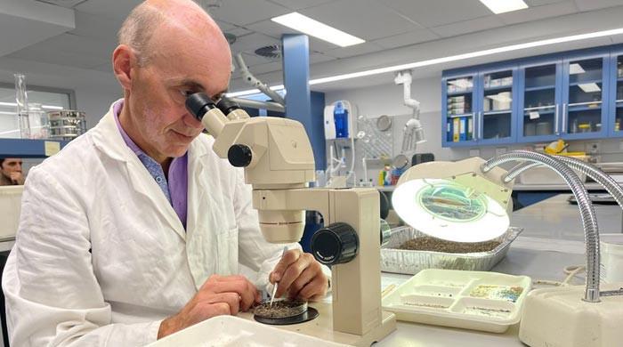 Scientists discover molecules that can repair damaged cells, reverse ageing