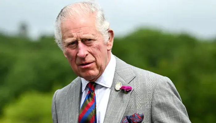 Prince Charles must make his storytelling 'consistent' for successful reign