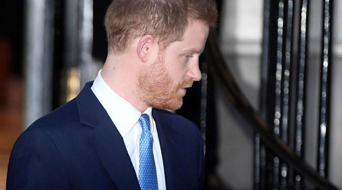 Prince Harry, Meghan Markle ‘all alone in concrete jungle’ as fans ...