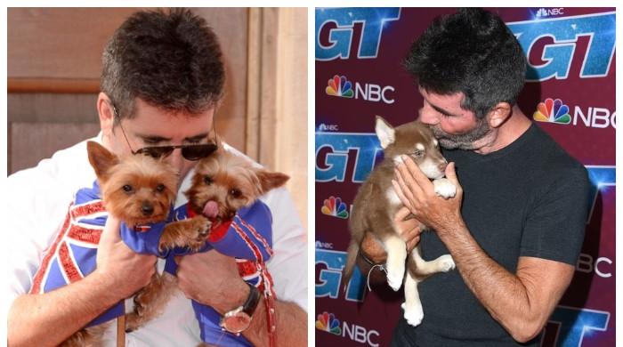 America's Got Talent: Simon Cowell takes his cute pet dog to red carpet