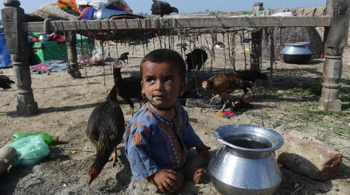 5 million feared sick over next 12 weeks in flooded areas due to ...