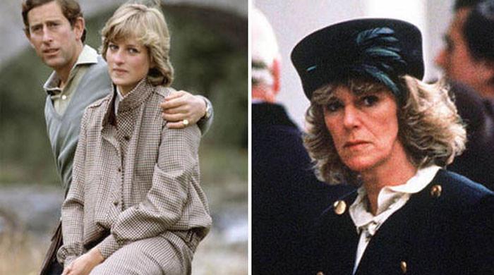 When Princess Diana confronted Camilla over Charles affair: 'Don't ...