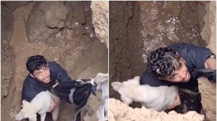 Heart-warming videos of animal rescue amid floods shows best of humanity