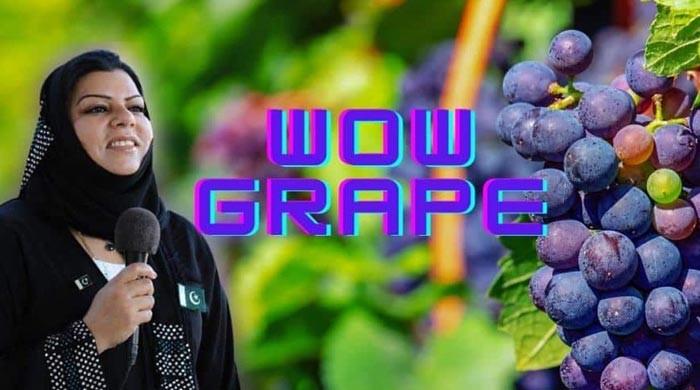 Iconic 'wow, grape' meme to be sold as NFT to help flood victims in ...