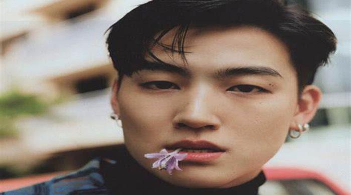 Jay B reveals his assigned nicknames to other GOT7 members