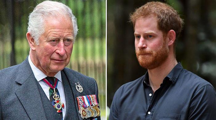 Royals to take ‘major stumble’ on Prince Harry’s memoir: report