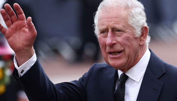 Prince Harry, Andrew ‘in danger’ as King Charles plans imminent ‘shake-up’