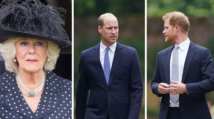 Prince William, Harry ‘barely tolerate’ Camilla Queen Consort Prince William, Harry ‘barely tolerate’ Camilla Queen Consort