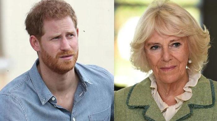 Camilla biography dropped to urgently counter 'cruel' Prince Harry ...