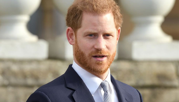 Netflix in search of ‘exceptional’ actor to play Prince Harry in ‘The ...
