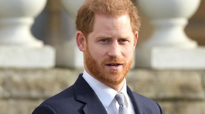 Netflix in search of ‘exceptional’ actor to play Prince Harry in ‘The ...